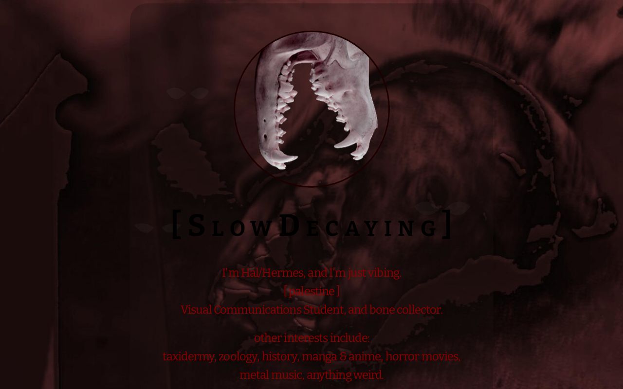 SlowDecaying introduction